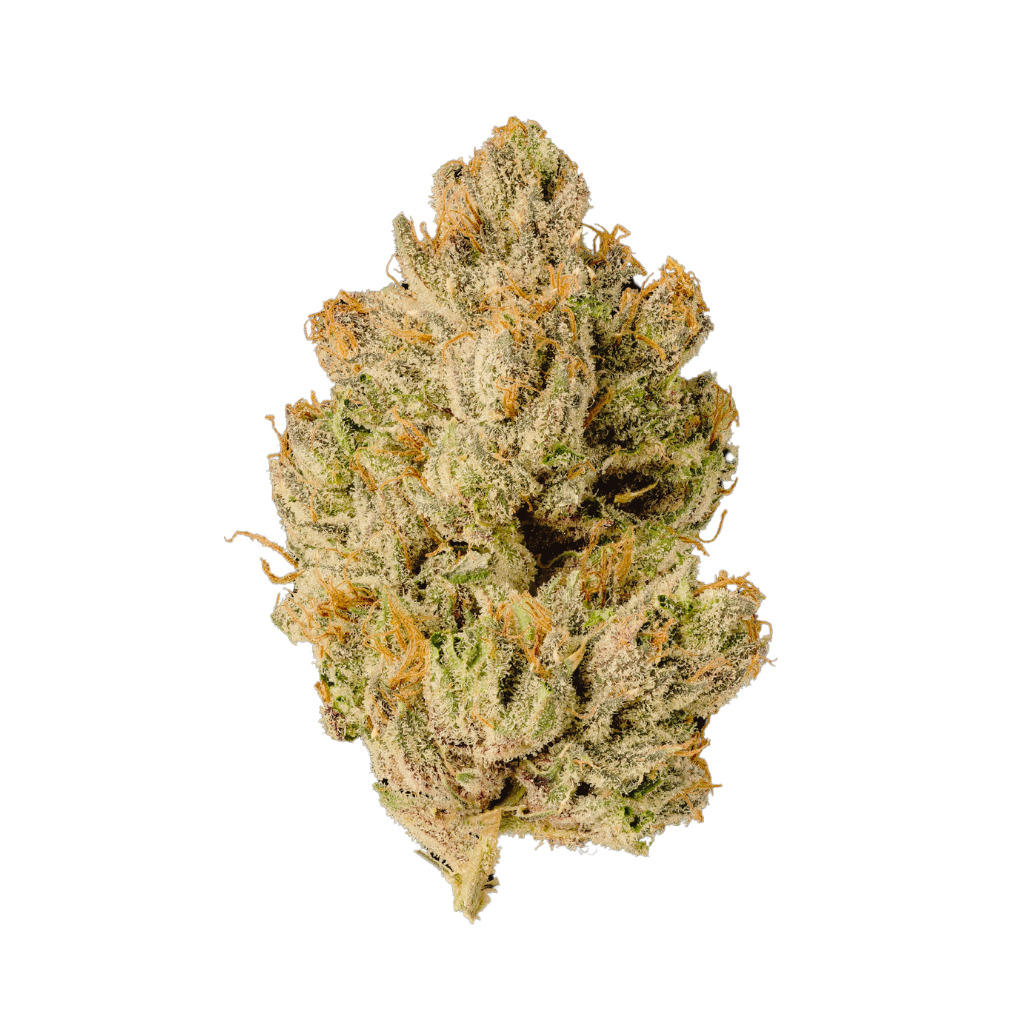 BUBBA GUM INDOOR THCa FLOWER – Papa's Herb